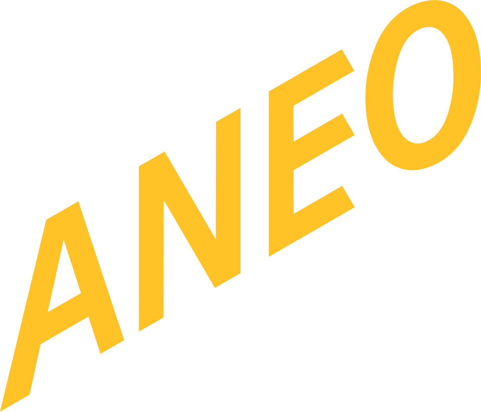 Aneo Case Study - Leaner Operations, Smarter Decisions | Installer.com
